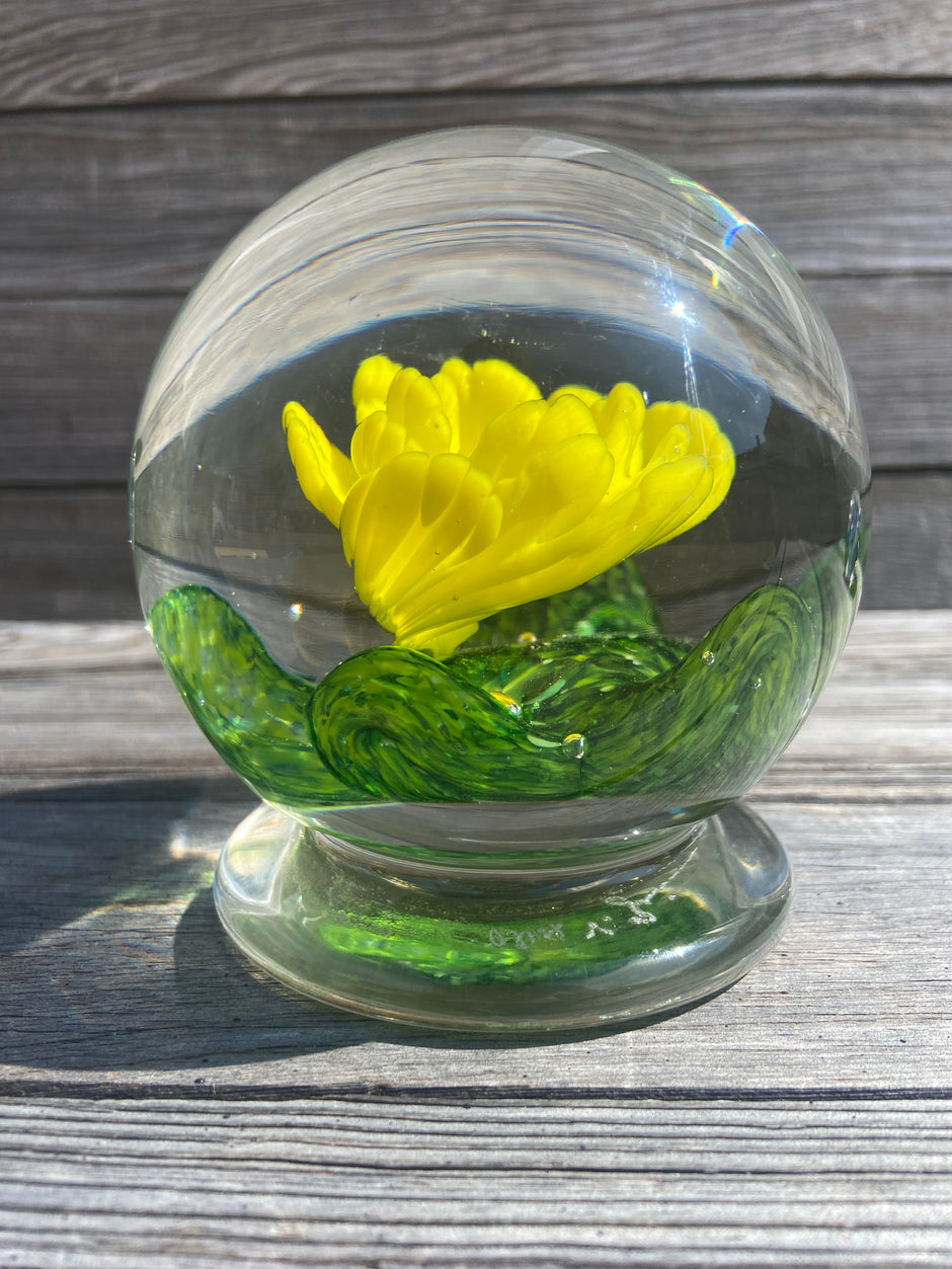 Paperweights – Zimmerman Art Glass