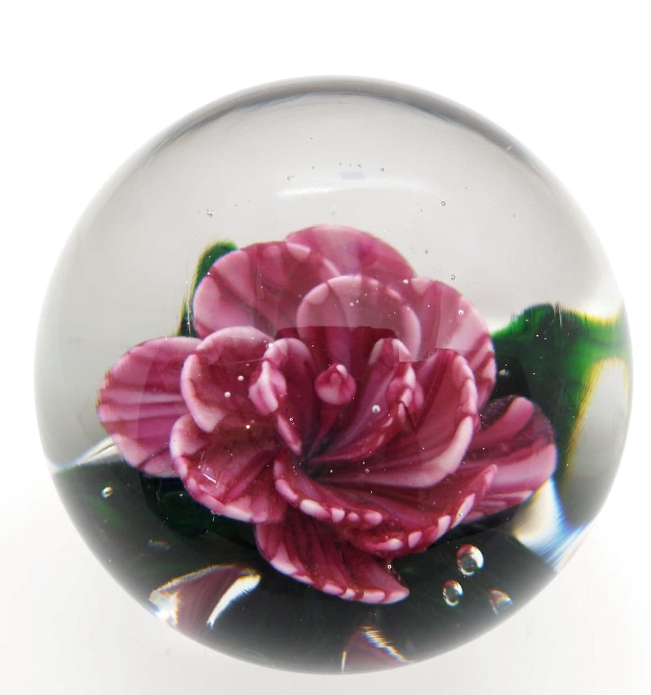 Paperweights – Zimmerman Art Glass